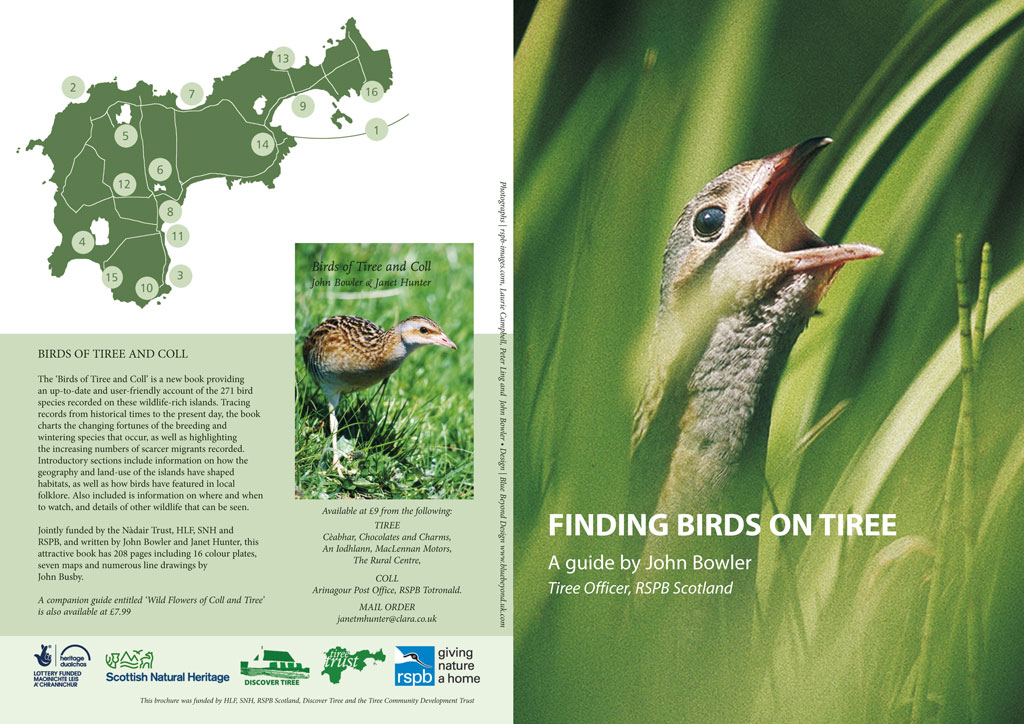 Finding Birds on Tiree – Blue Beyond Design