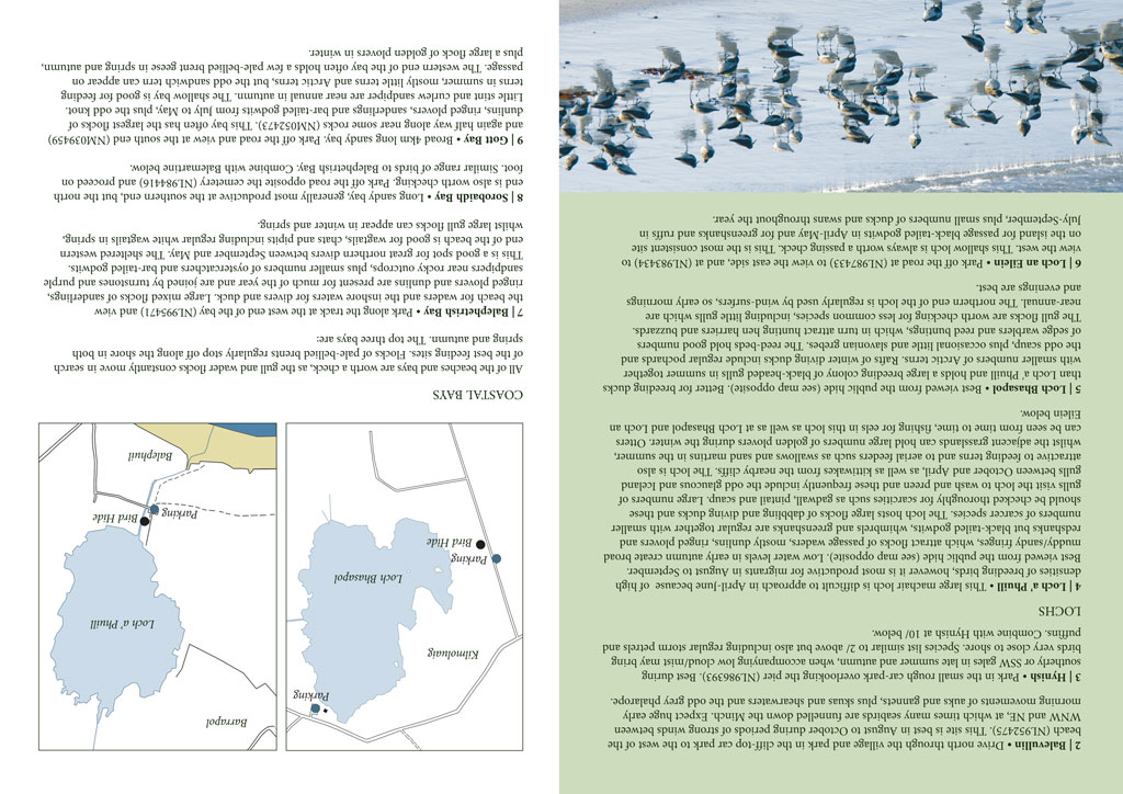 Finding Birds on Tiree – Blue Beyond Design